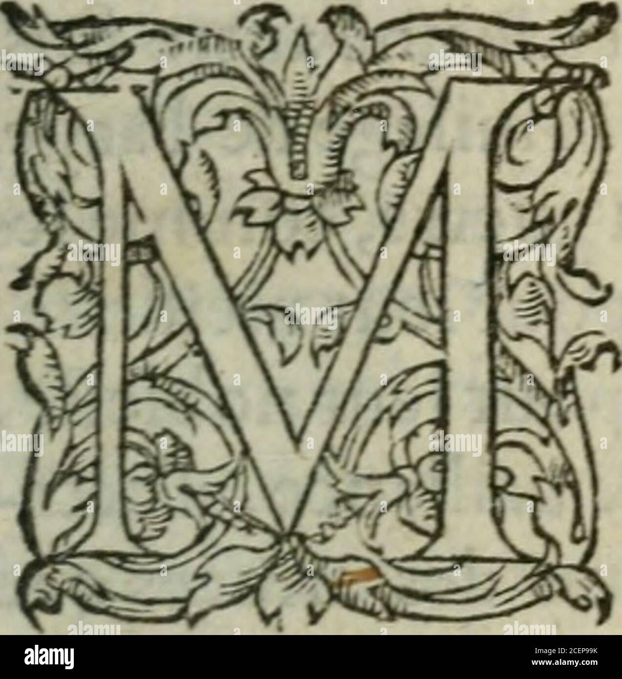 Marcellus marcus claudius hi-res stock photography and images - Alamy