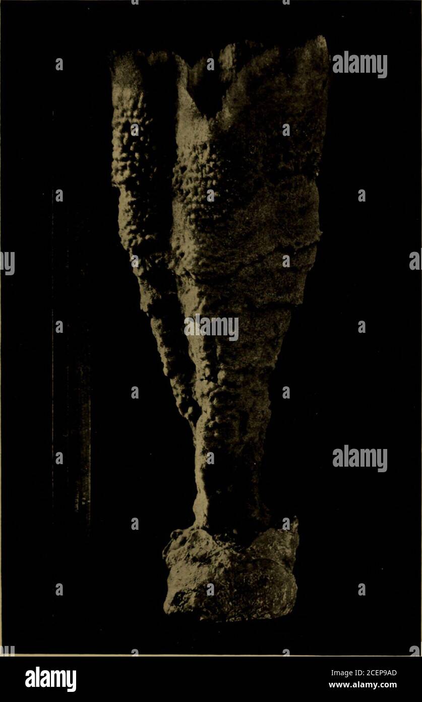 Chalina hi-res stock photography and images - Alamy