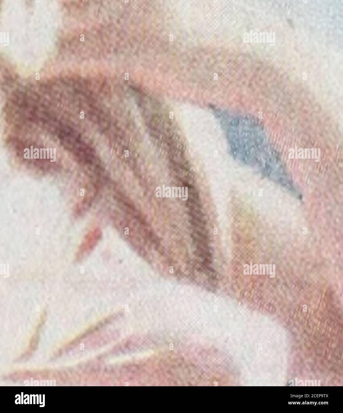 . The Ladies' home journal. These five Wallace designs differ from all ...