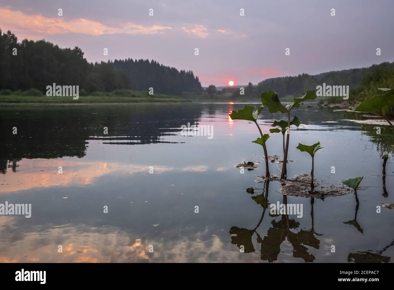 Chusovaya river hi-res stock photography and images - Alamy