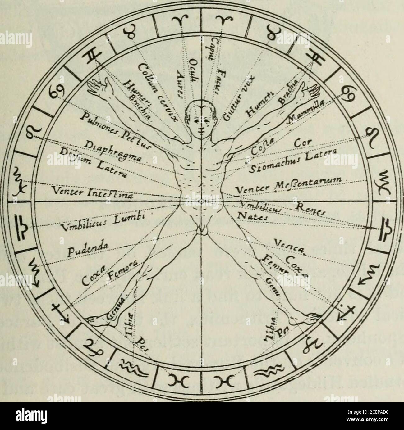 . Studies in the history and method of science. Fig. 6.. Fig. 7 ...