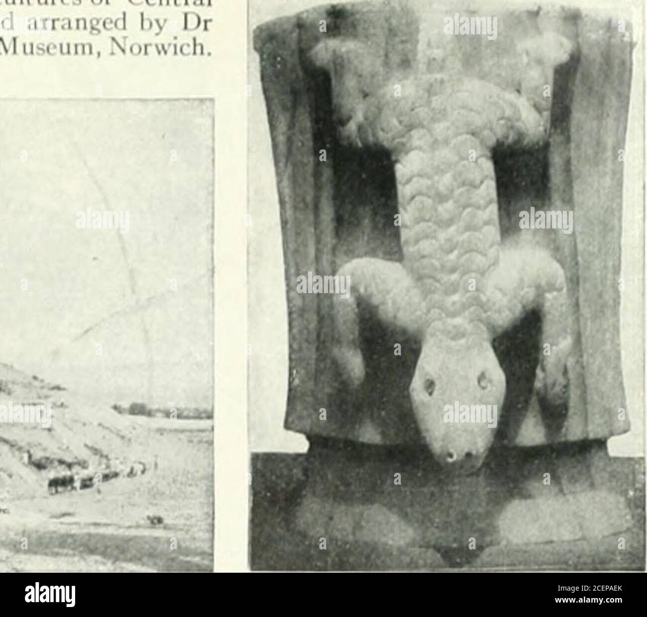 . The Encyclopædia britannica; a dictionary of arts, sciences ...