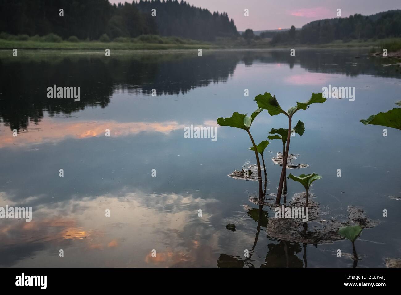 Chusovaya river hi-res stock photography and images - Alamy