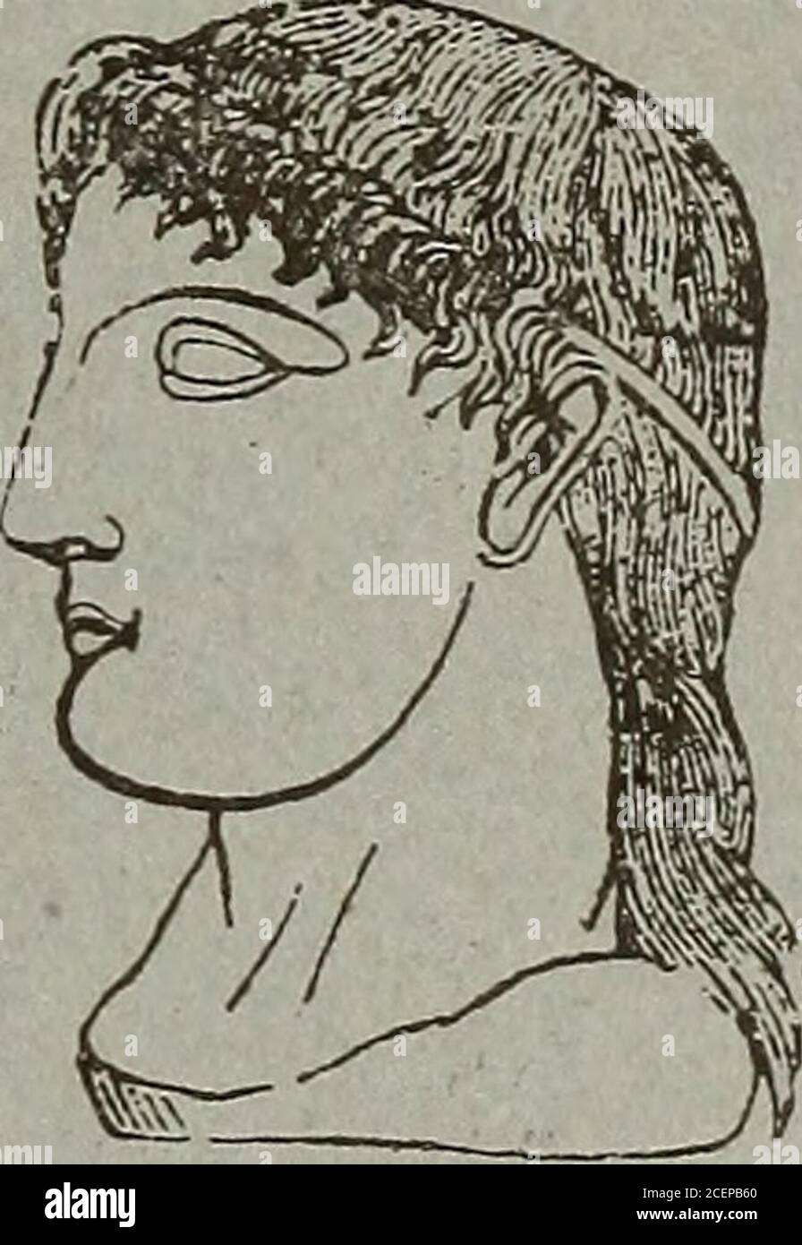 . Proper care of the hair and scalp. Fig. 44. Beard of Neptune.. Fig ...