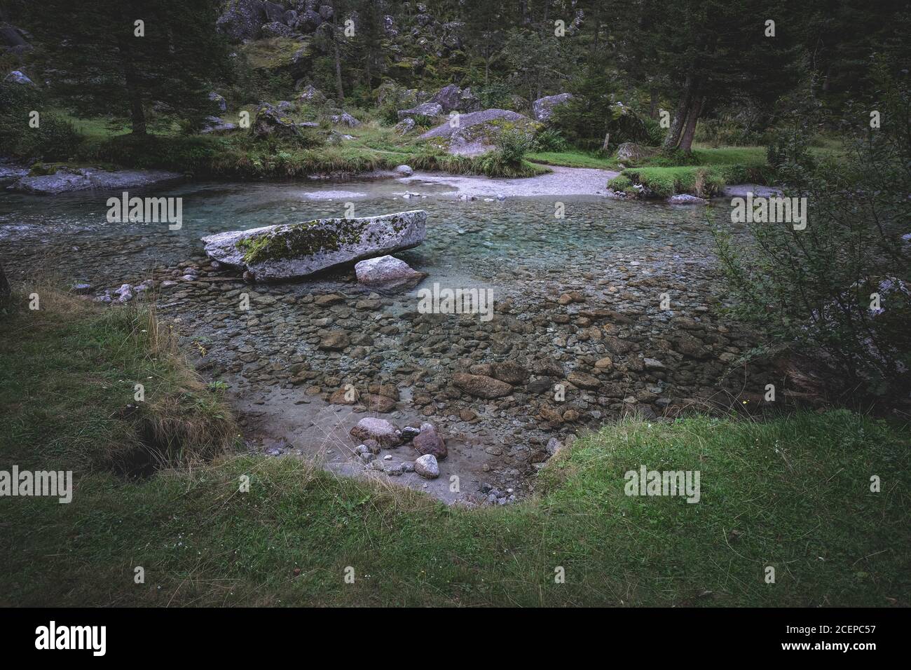 Closeup shot of a lake Stock Photo - Alamy