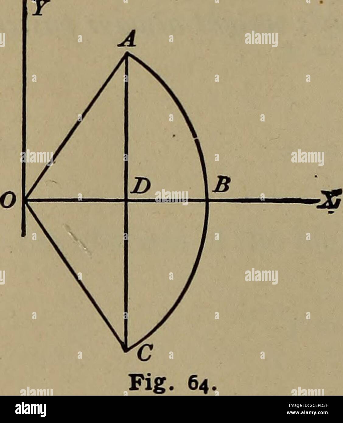 Horizontal Axis On Body