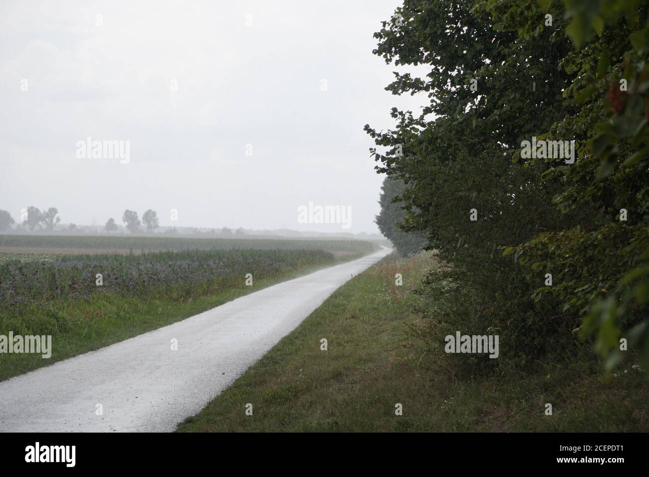 Slight Haze High Resolution Stock Photography and Images - Alamy
