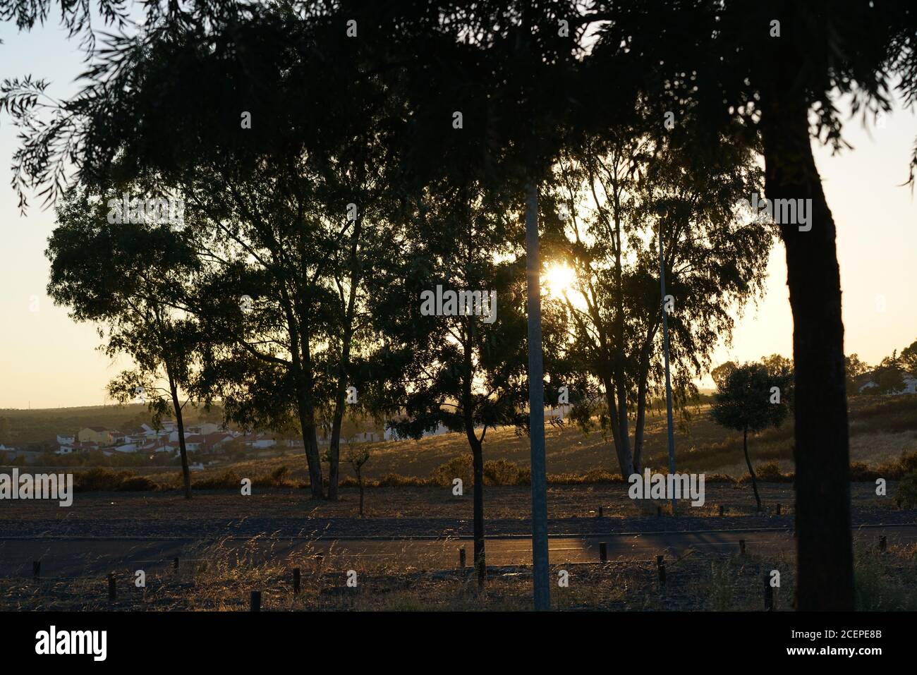 Beautiful ray of rising sun hi-res stock photography and images - Alamy