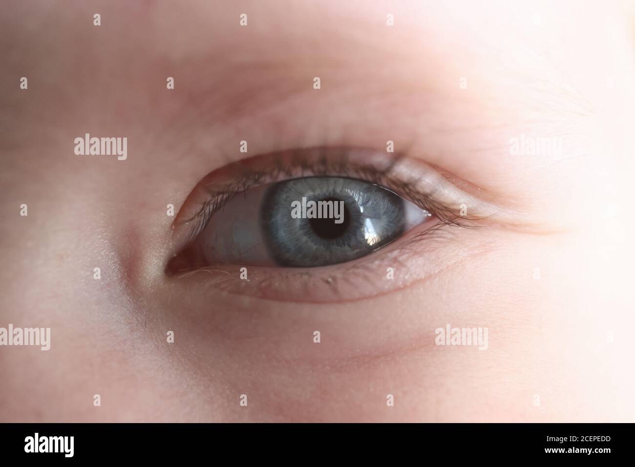 Young girl's eye with blue pupil closeup Stock Photo - Alamy