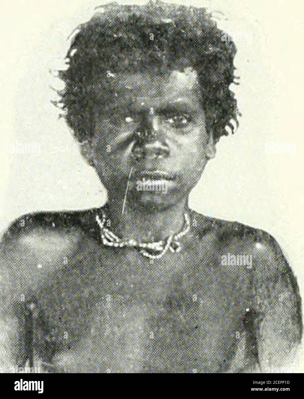 . Natives of Australia. Weipa Native, N. Queknslano Mapoon Native Stock ...