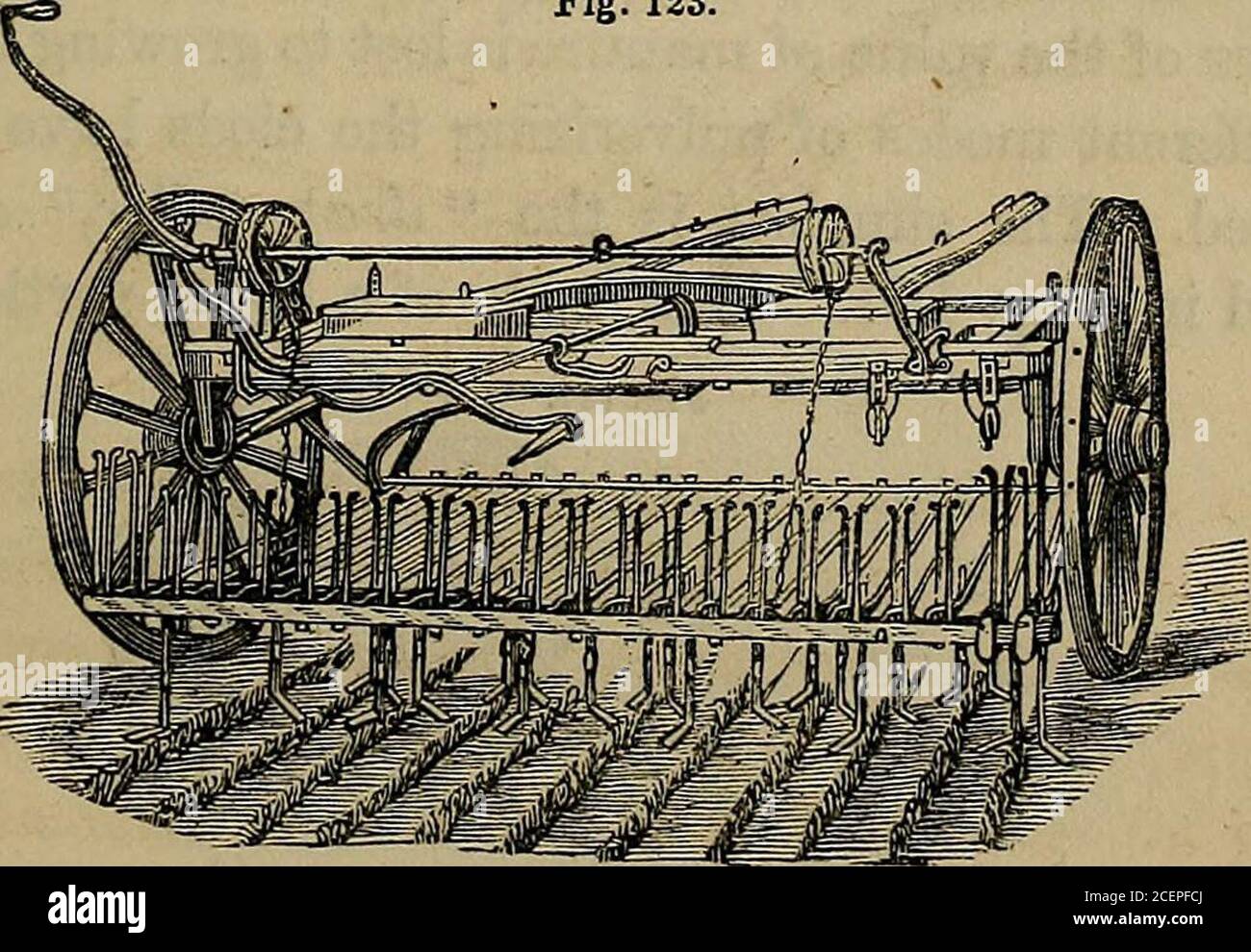 Ification hi-res stock photography and images - Alamy