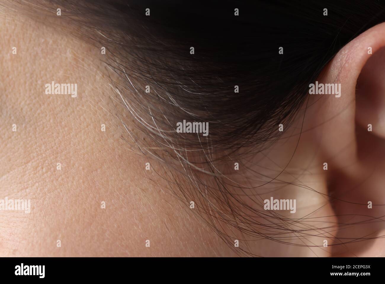 Black and gray hair on temples of head closeup Stock Photo - Alamy