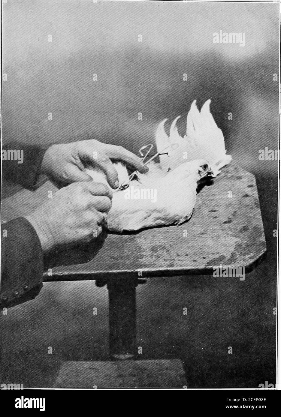 Skin pulled back Black and White Stock Photos & Images - Alamy