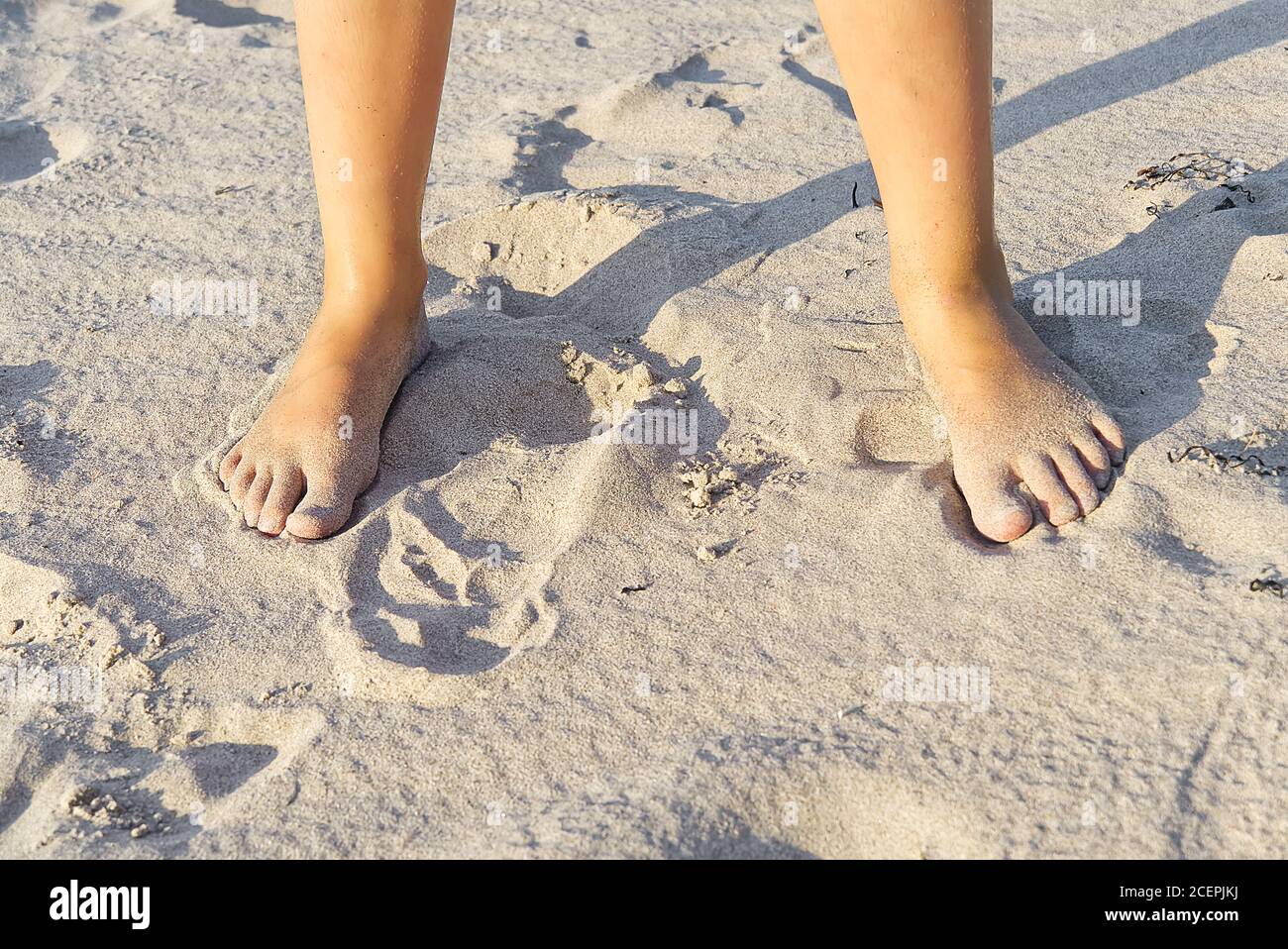 Close-up of children legs on sand beach. Young girl legs on baltic sea ...