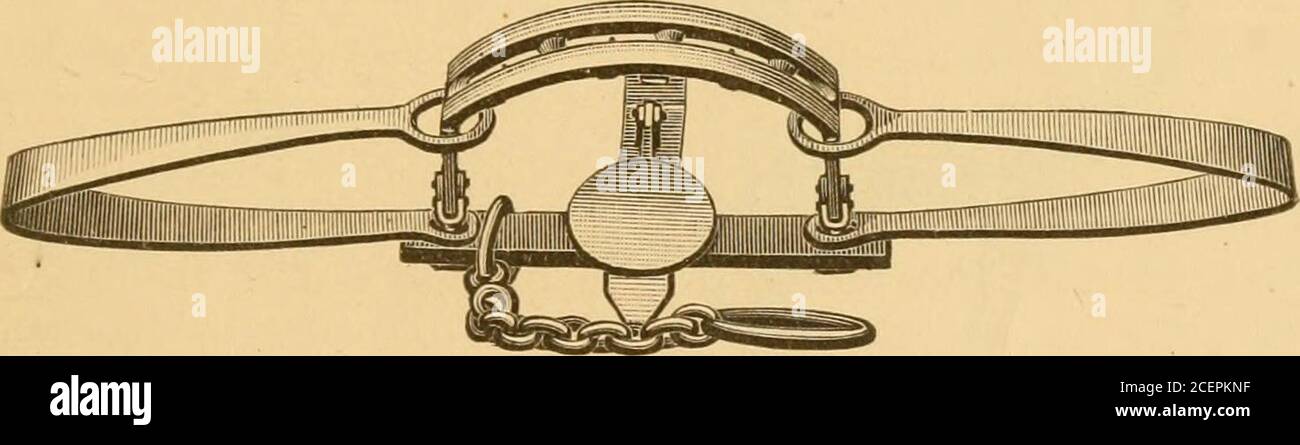 Traps jaws hi-res stock photography and images - Alamy