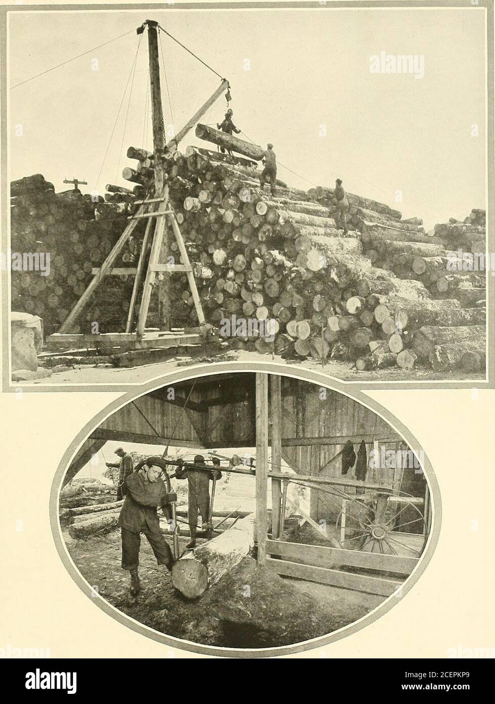 . A lighter packing case;. Page six. Upper picture—Log,-piler in ...