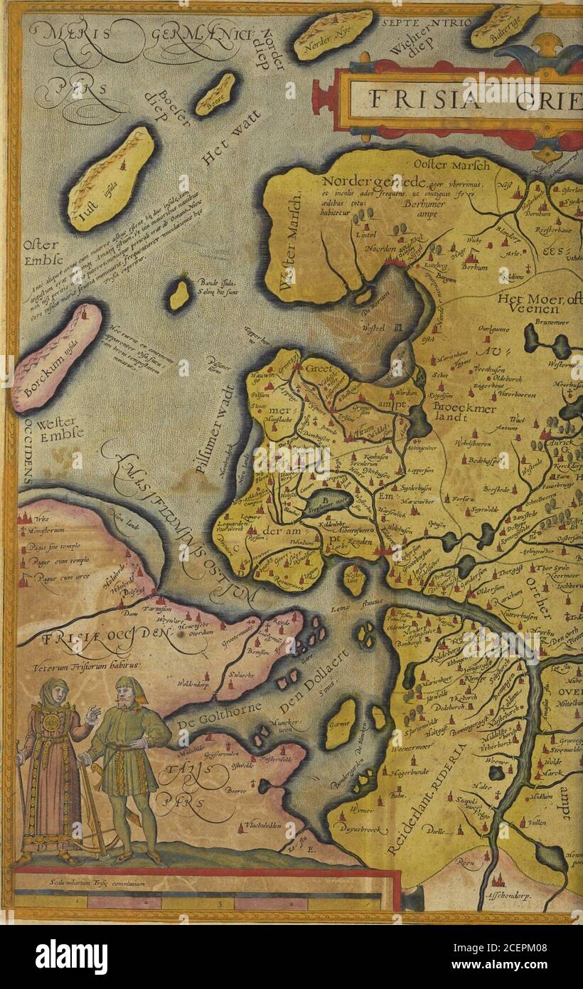 Reticulo hi-res stock photography and images - Alamy