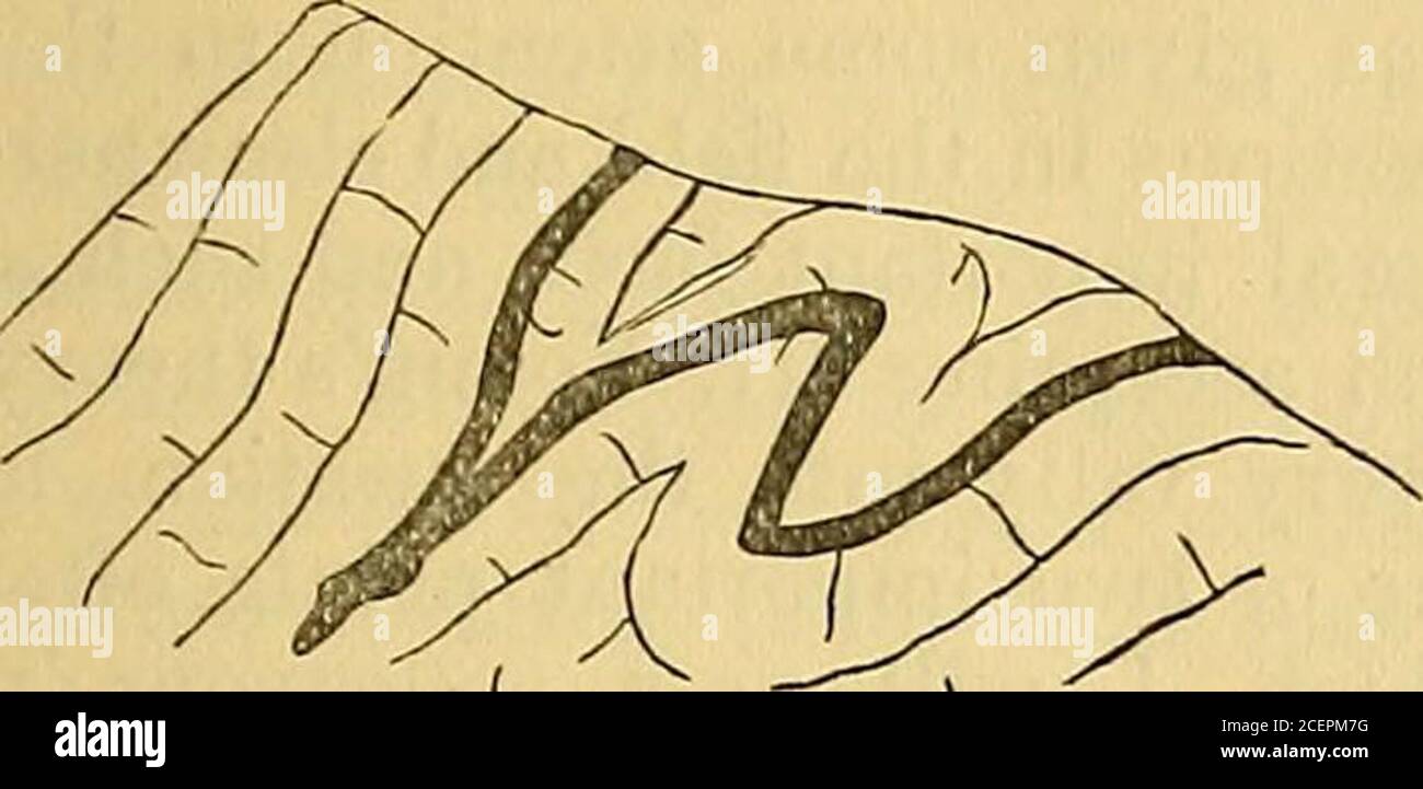 Culm measure hi-res stock photography and images - Alamy