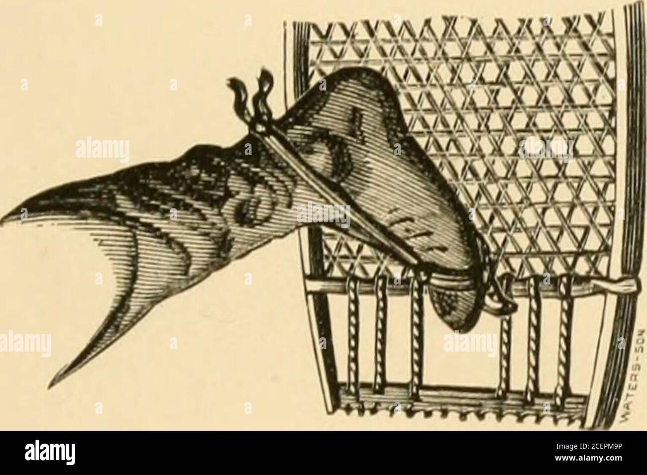 Interlacing strips hi-res stock photography and images - Alamy