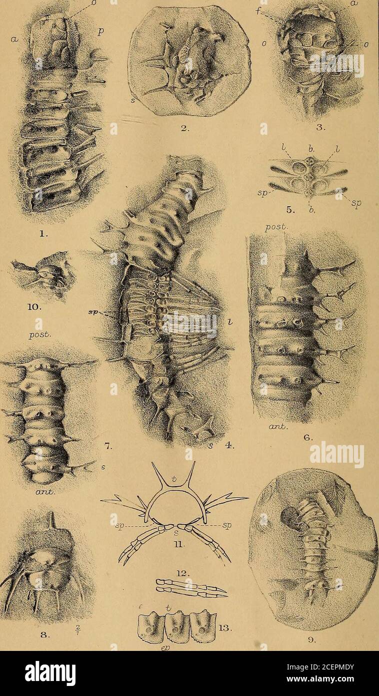 Map of the jurassic coast hi-res stock photography and images - Alamy