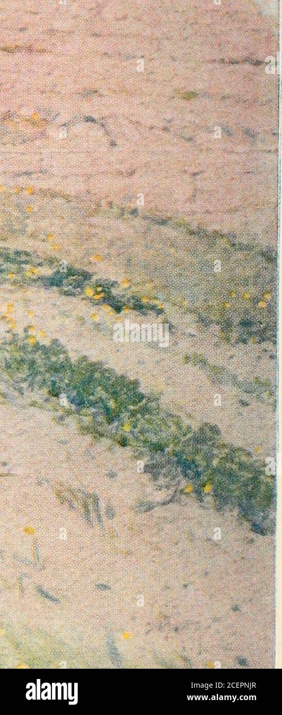 Walls Of Constantinople Ruins High Resolution Stock Photography and ...