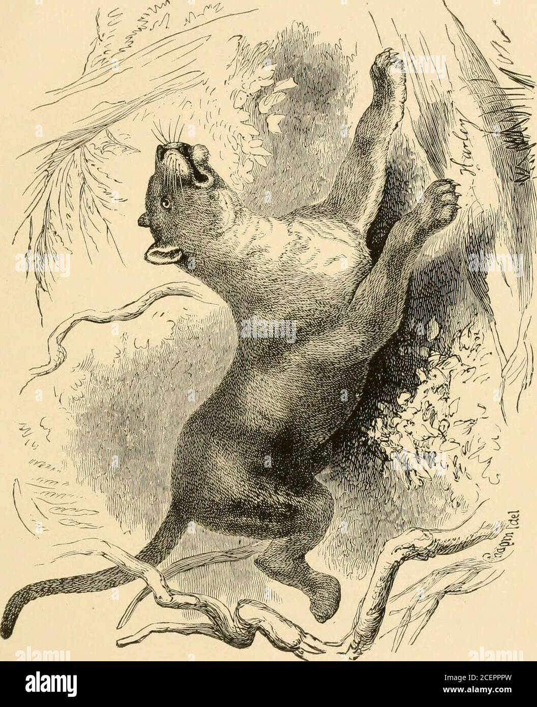 Instructions underneath hi-res stock photography and images - Alamy