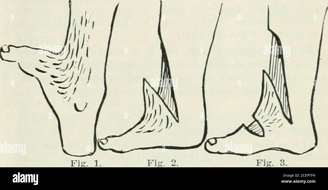 . Journal - American Medical Association. ling, which was accomplished ...