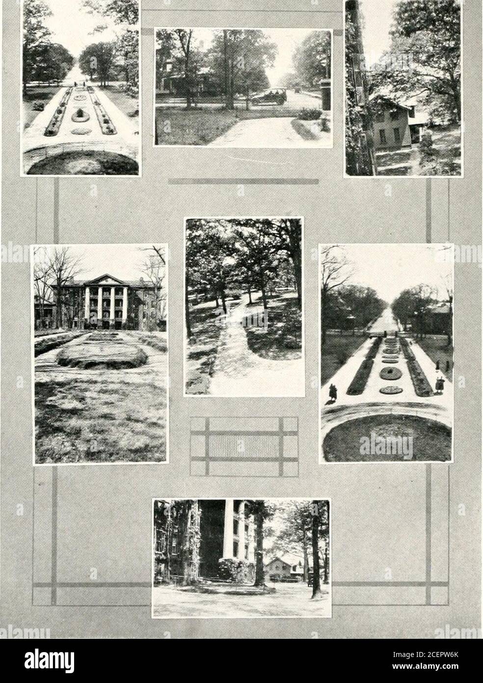 . The Lotus. Expression Class MARGARET WASHBURN MARY COTHRAN LUCY ...