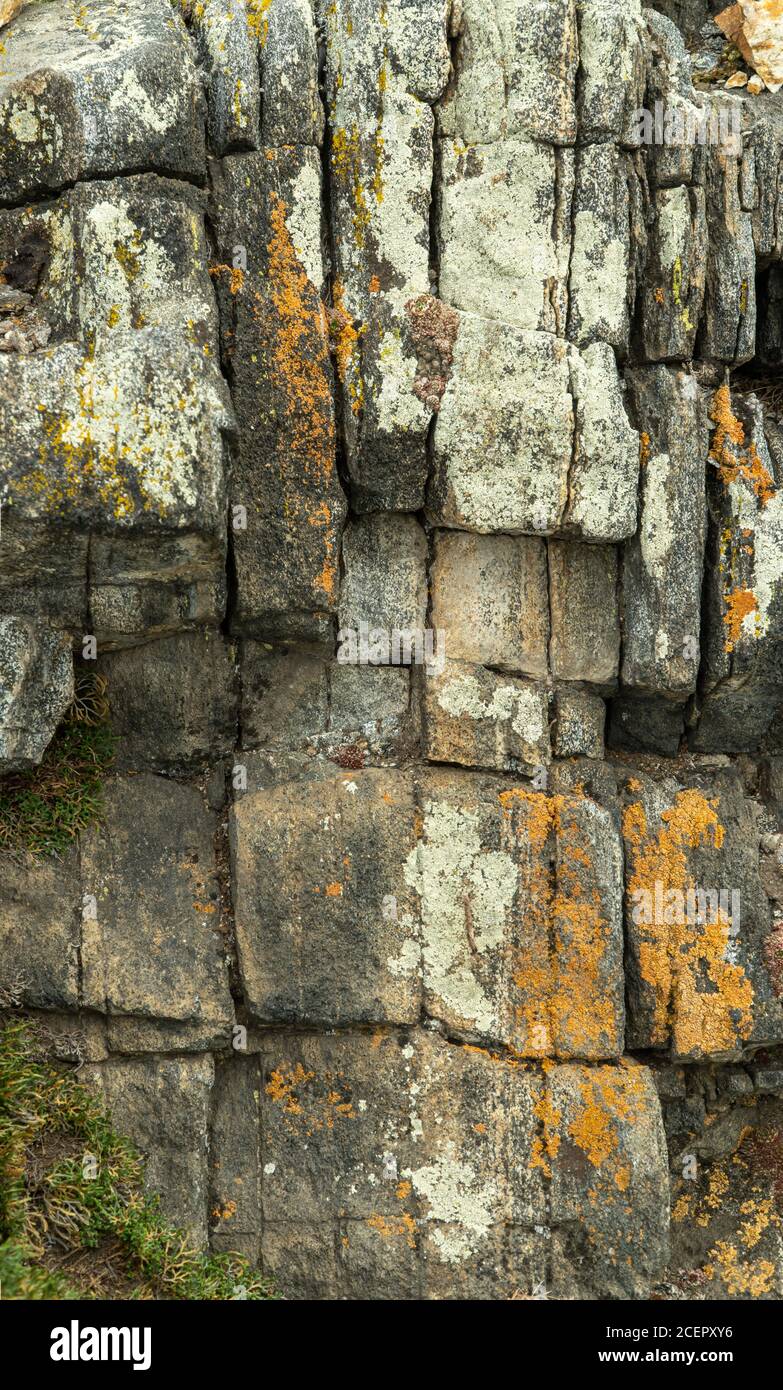 rocks on the lake shore are covered with bright red and white lichen ...