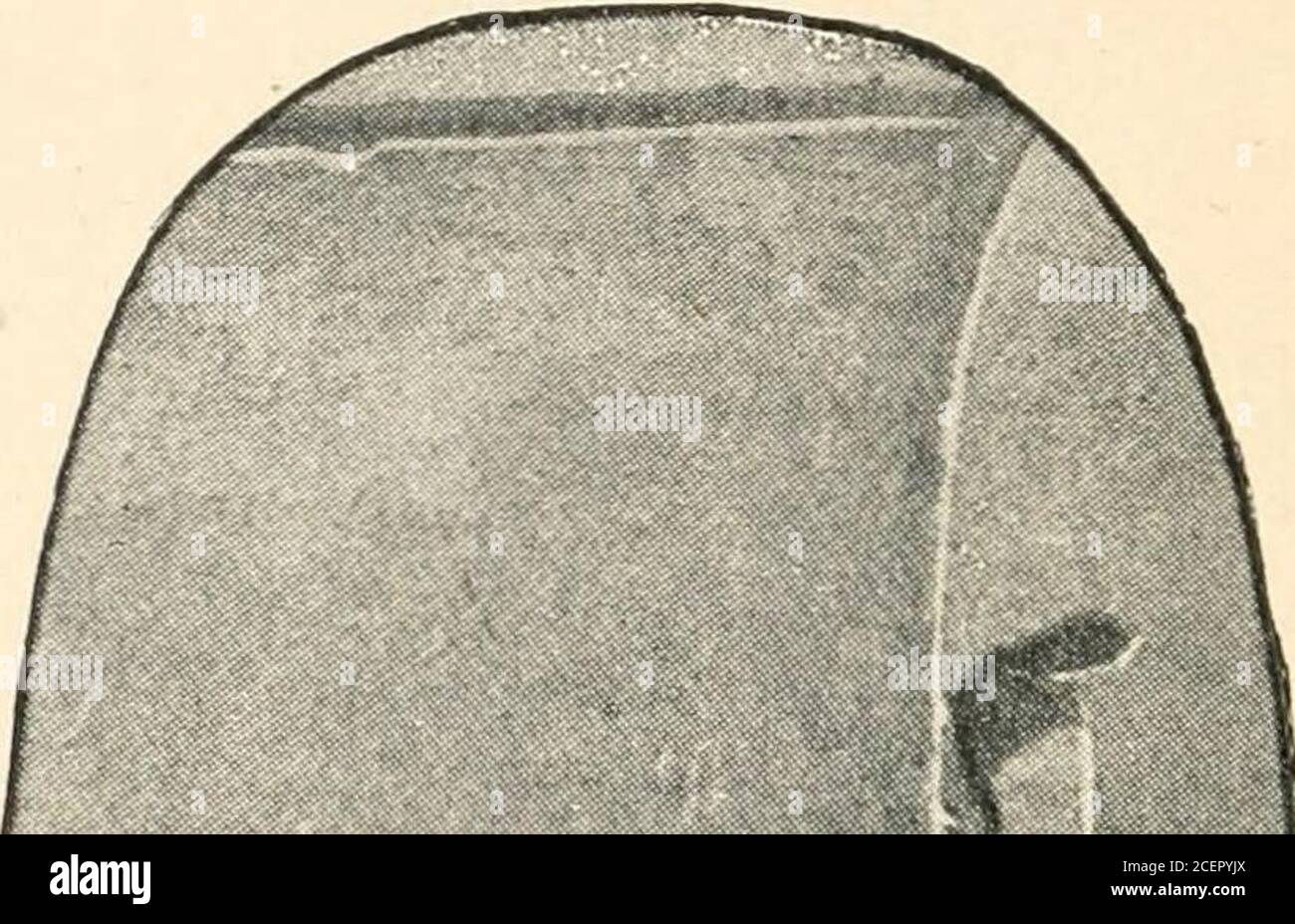 . The sacred beetle: a popular treatise on Egyptian scarabs in art and ...