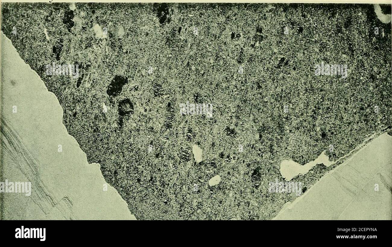 Mr claypole hi-res stock photography and images - Alamy