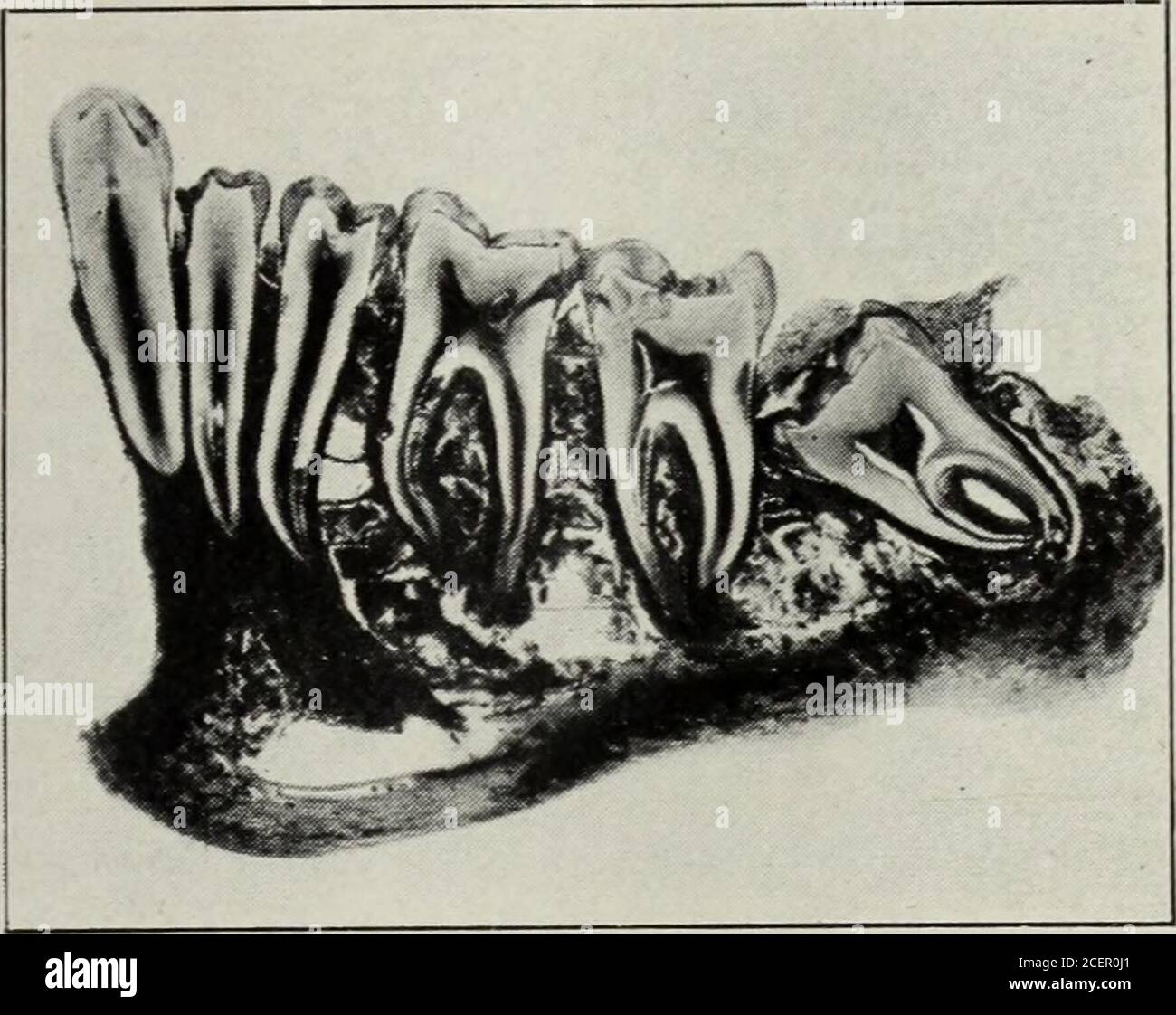 Amy block hi-res stock photography and images - Alamy