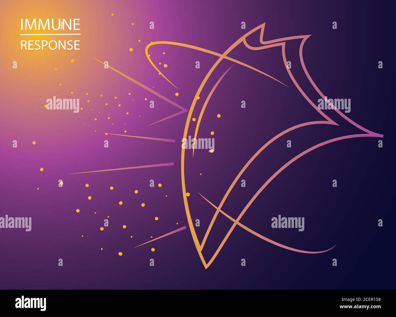 immune response with protective shield vector illustration design Stock ...