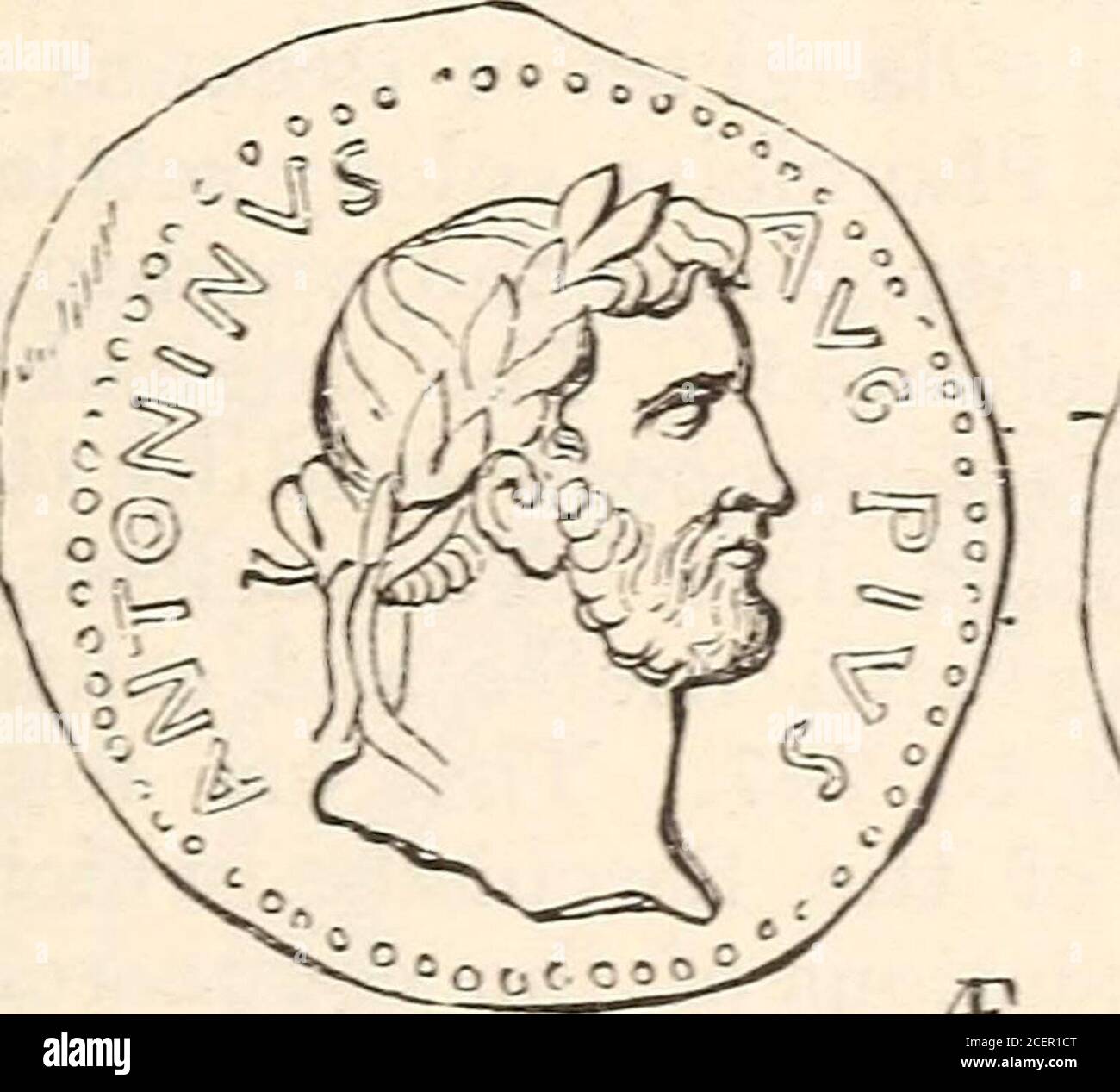 Solygeia hi-res stock photography and images - Alamy