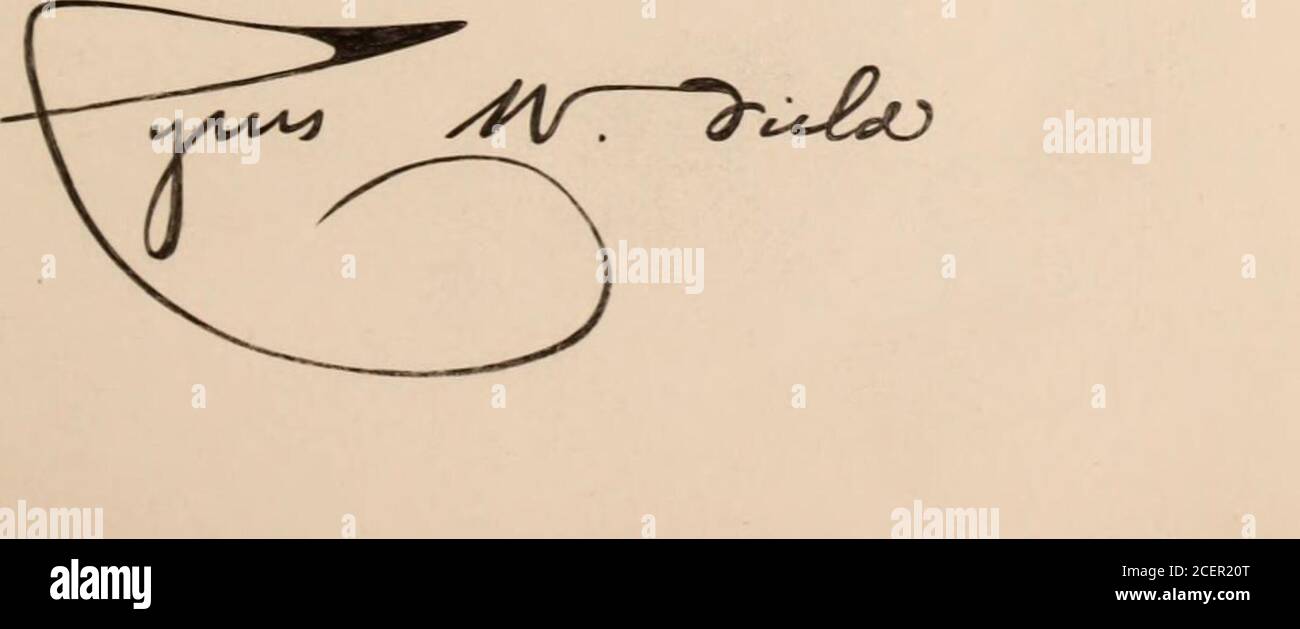 . History of New York City : embracing an outline sketch of events from ...