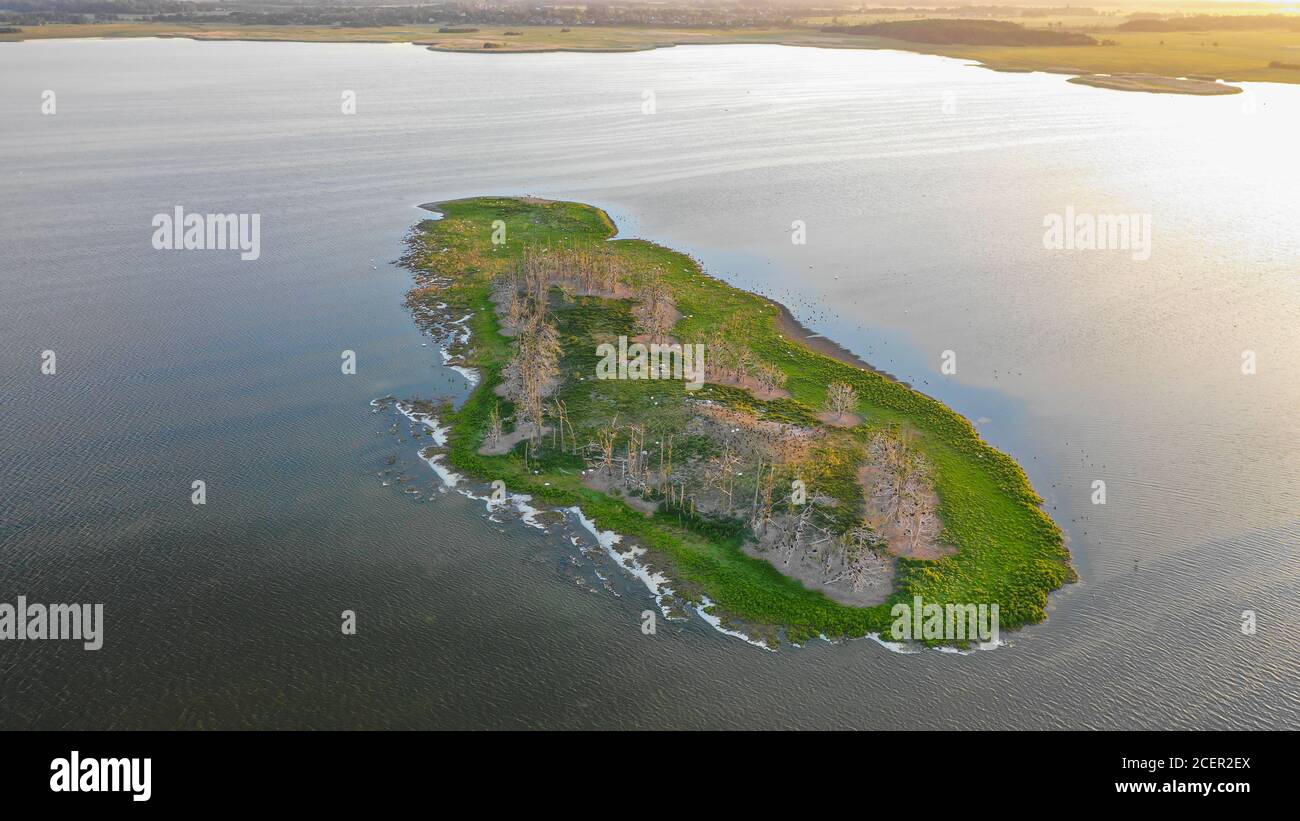 Aerial top-down view on the grassy island with the nest of breeding ...