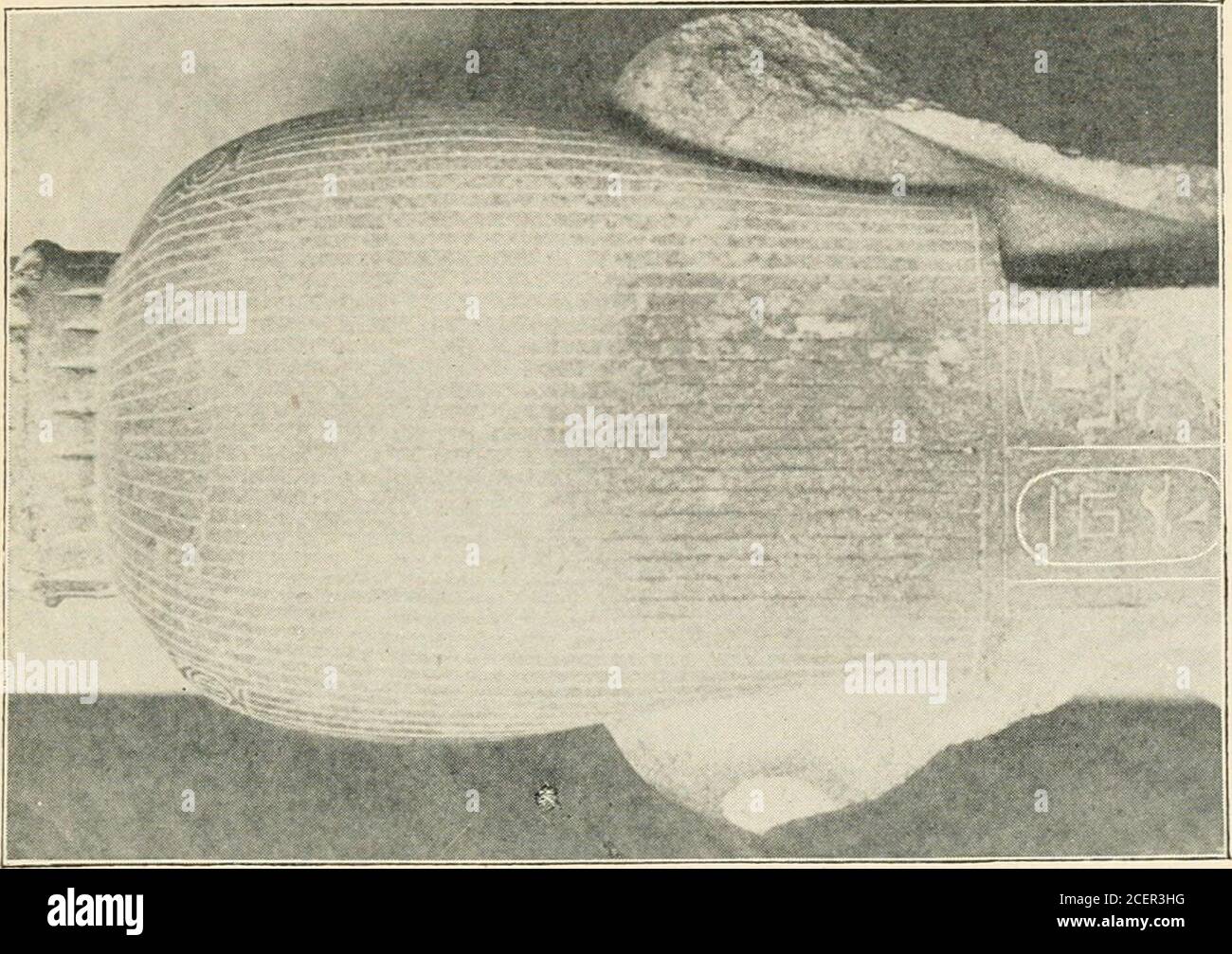 . The sacred beetle: a popular treatise on Egyptian scarabs in art and ...