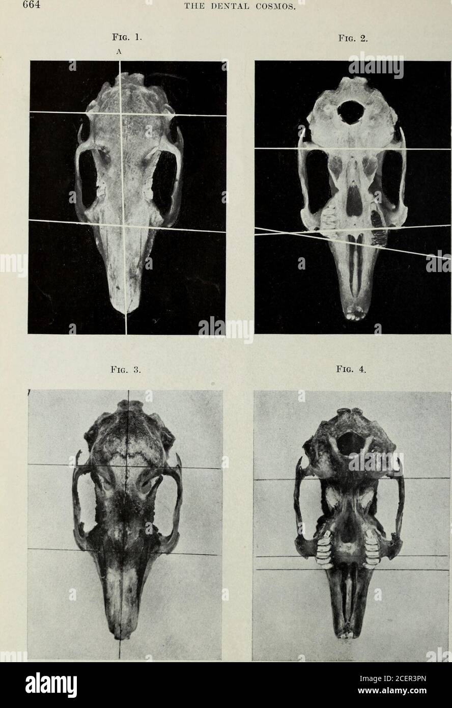 Grindingdown hi-res stock photography and images - Alamy