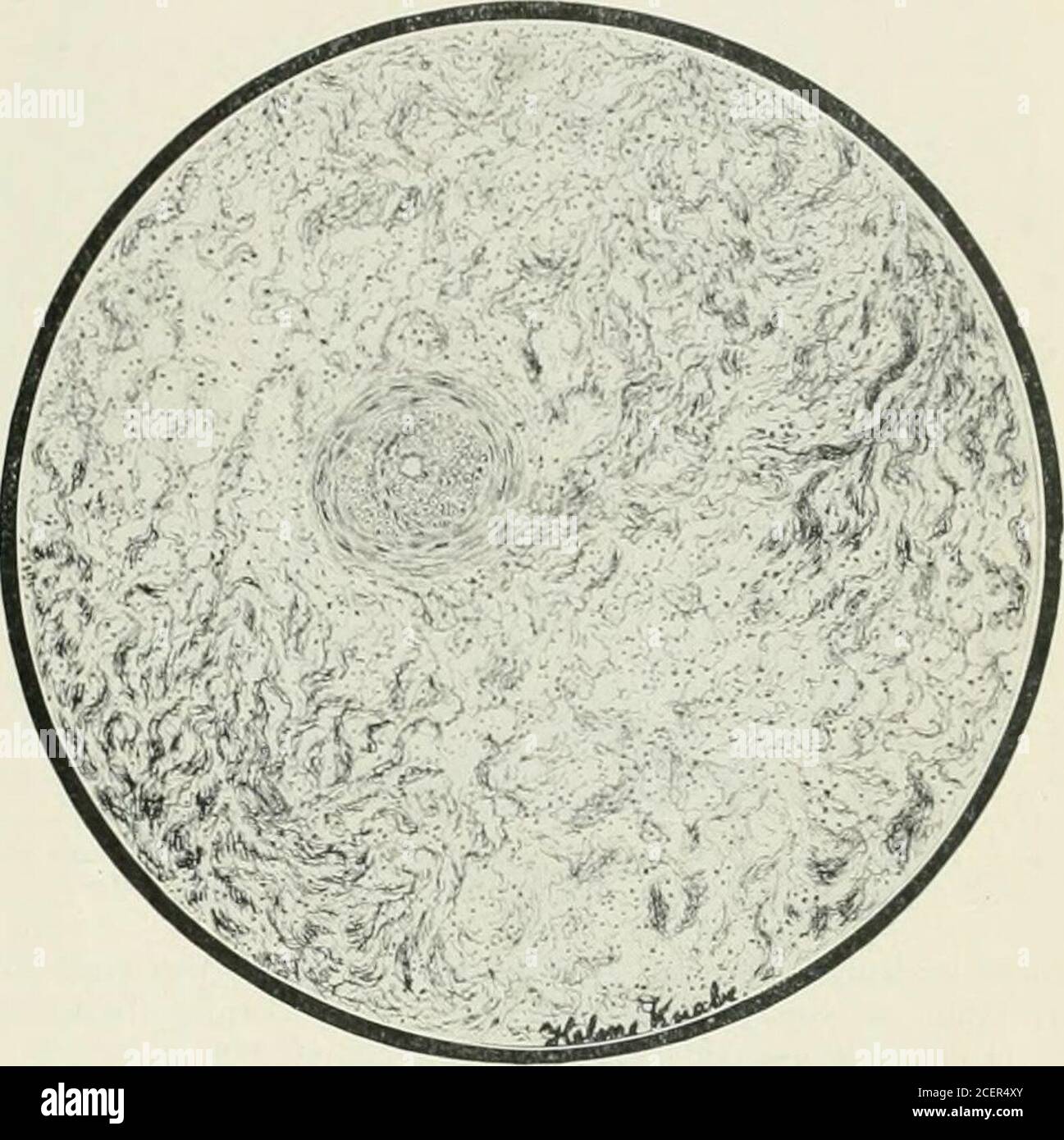 . Journal - American Medical Association. A few years foUowiug Lliu ...