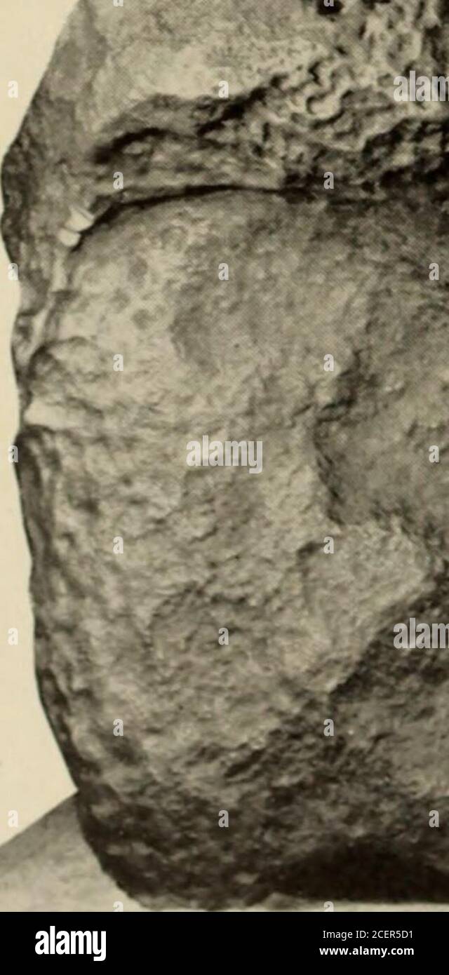 . Guide leaflet. Above: The Hoba Meteorite. The largest known meteorite ...