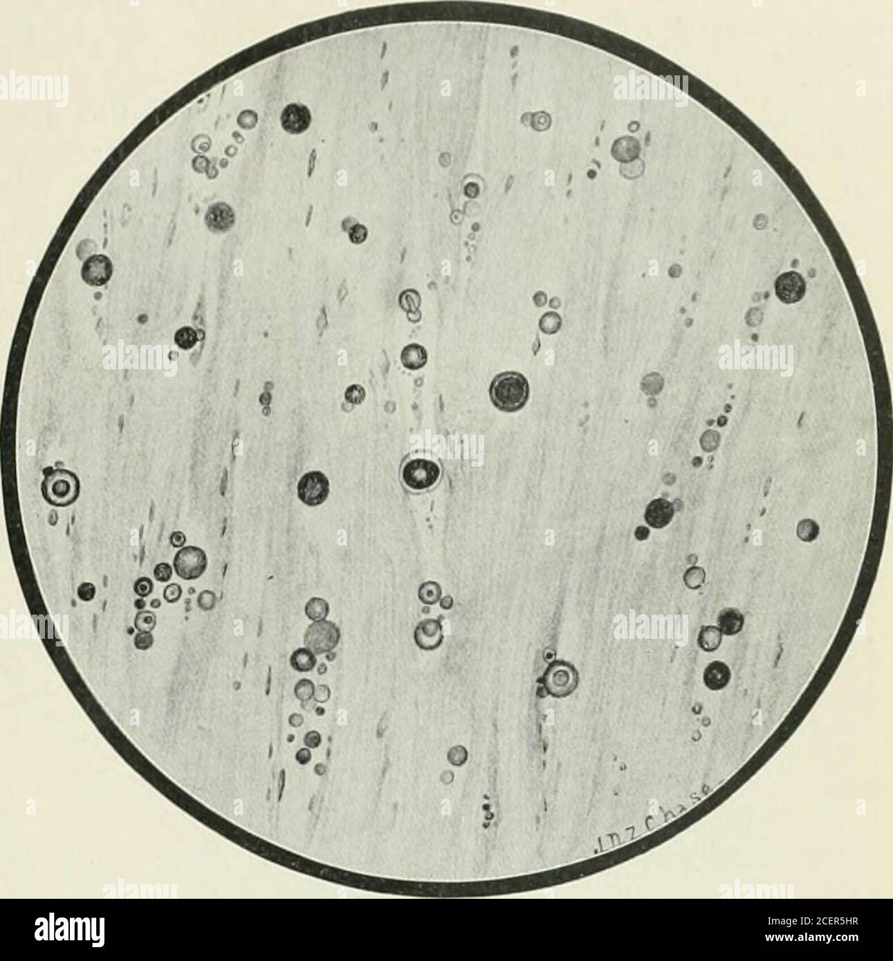 . Journal - American Medical Association. ii;itiii-ally arises as to ...