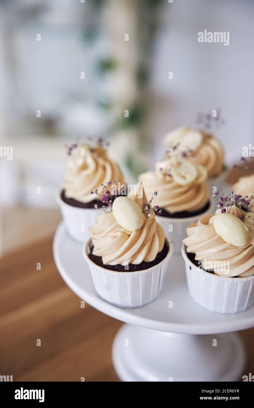 Selective focus shot of delicious chocolate cupcakes with white cream ...