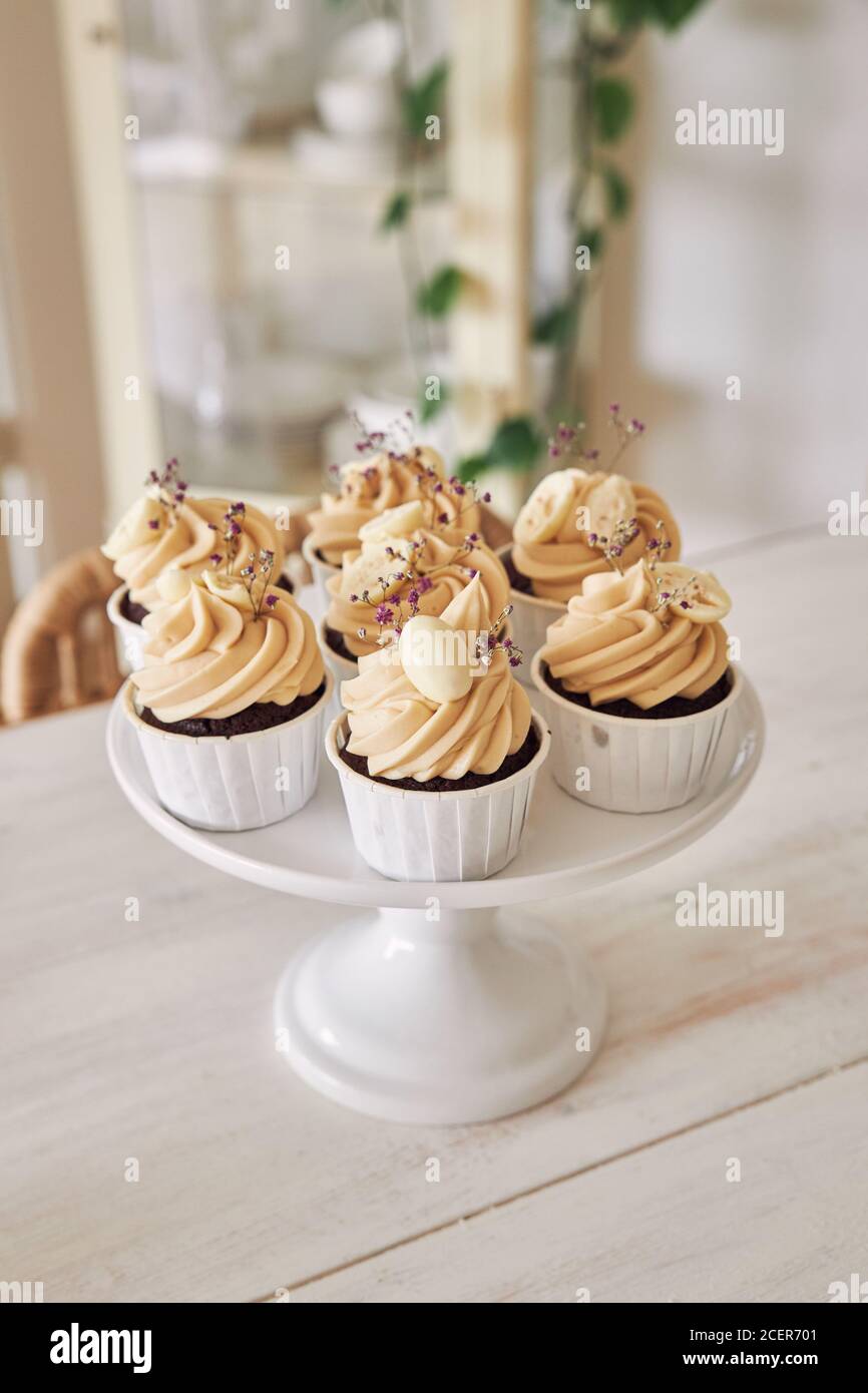 Selective focus shot of delicious chocolate cupcakes with white cream ...