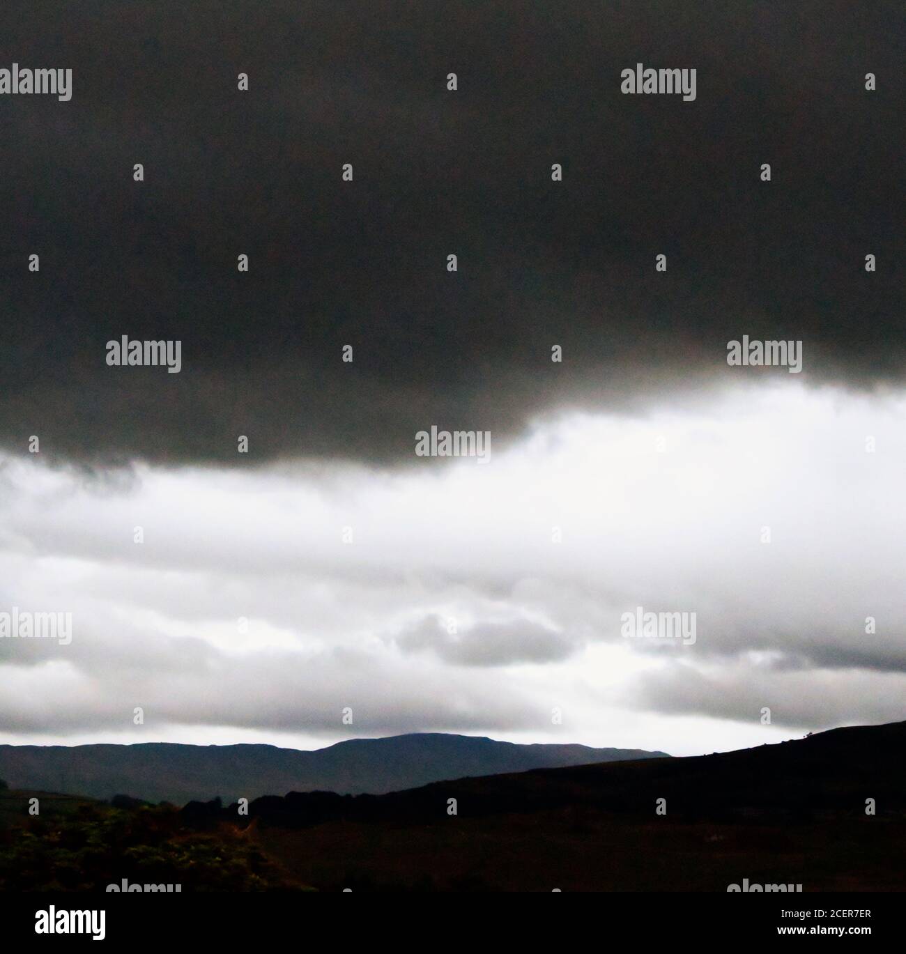 Grayrigg forest hi-res stock photography and images - Alamy