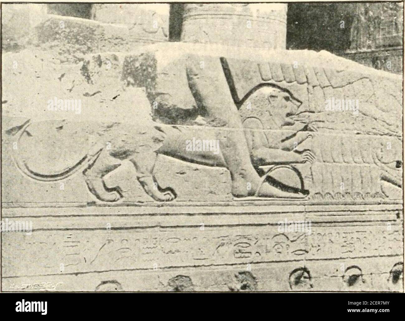 . The sacred beetle: a popular treatise on Egyptian scarabs in art and ...