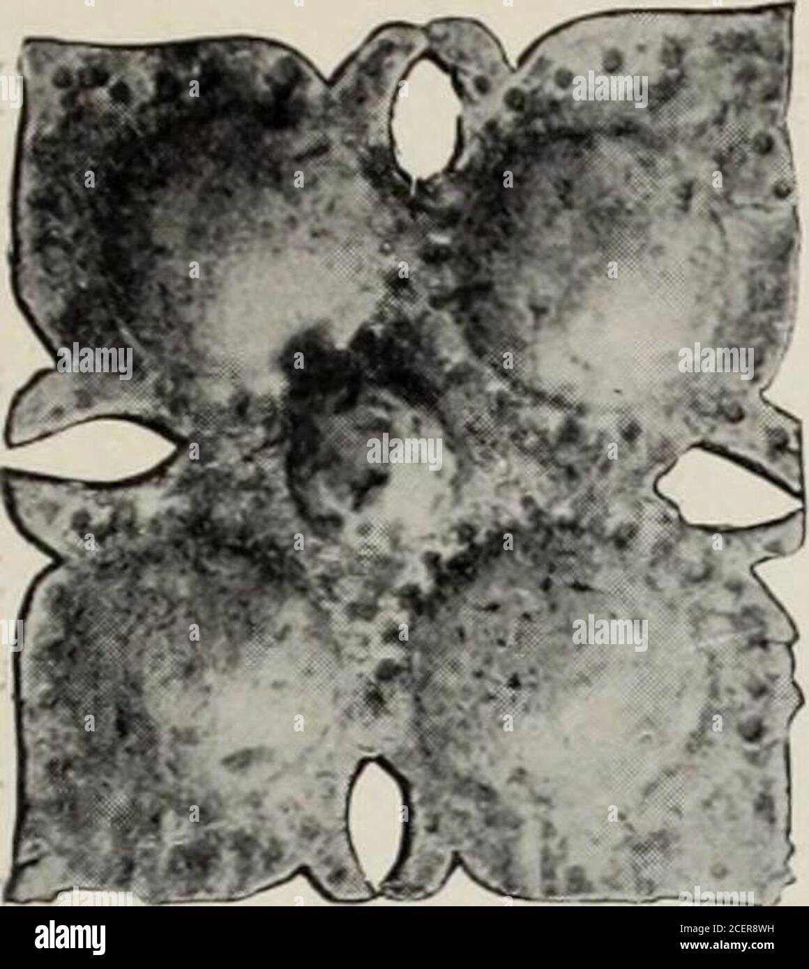 . International Studio an Illustrated Magazine of Fine and Applied Art ...