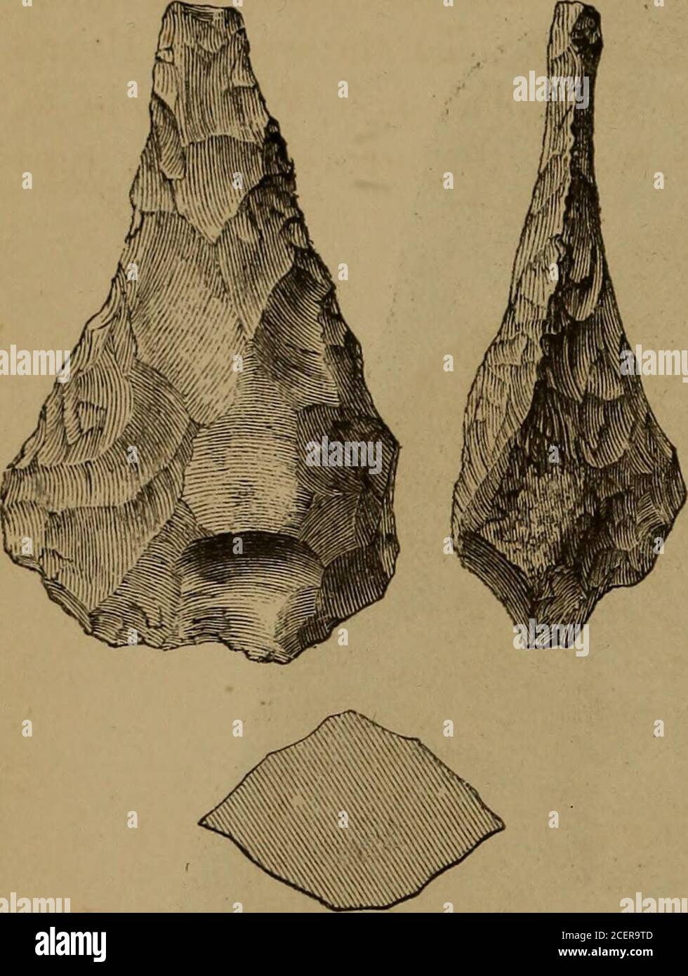 Fig reculver hi-res stock photography and images - Alamy