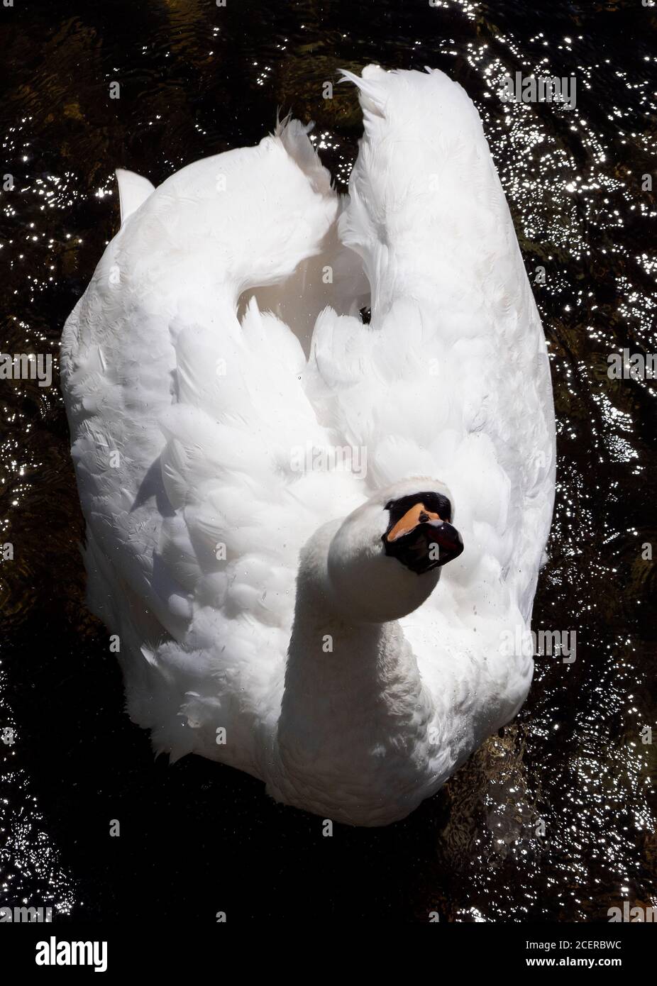 Swan river aerial hi-res stock photography and images - Alamy