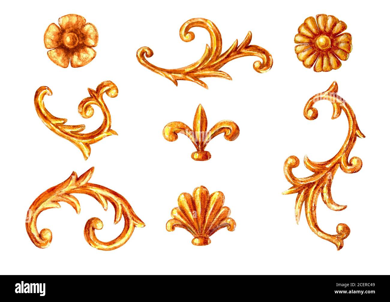 Baroque style elements. Watercolor hand drawn vintage engraving floral ...