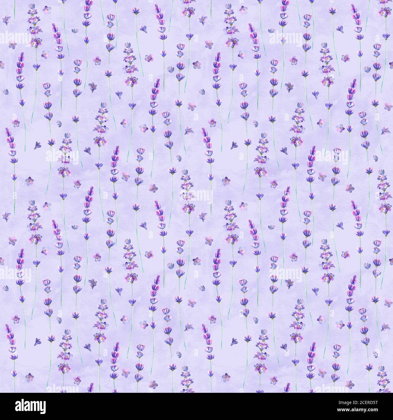 Lavender flowers watercolor seamless pattern on purple background ...